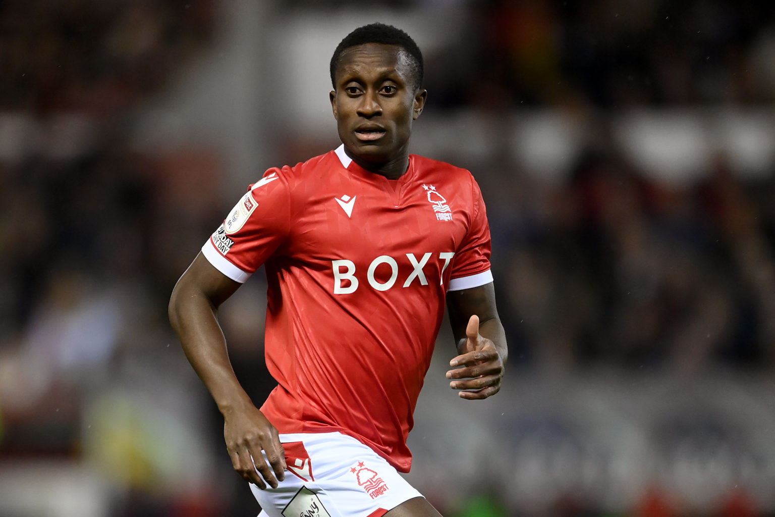 Nottingham Forest First-Team Squad - Nottingham Forest News