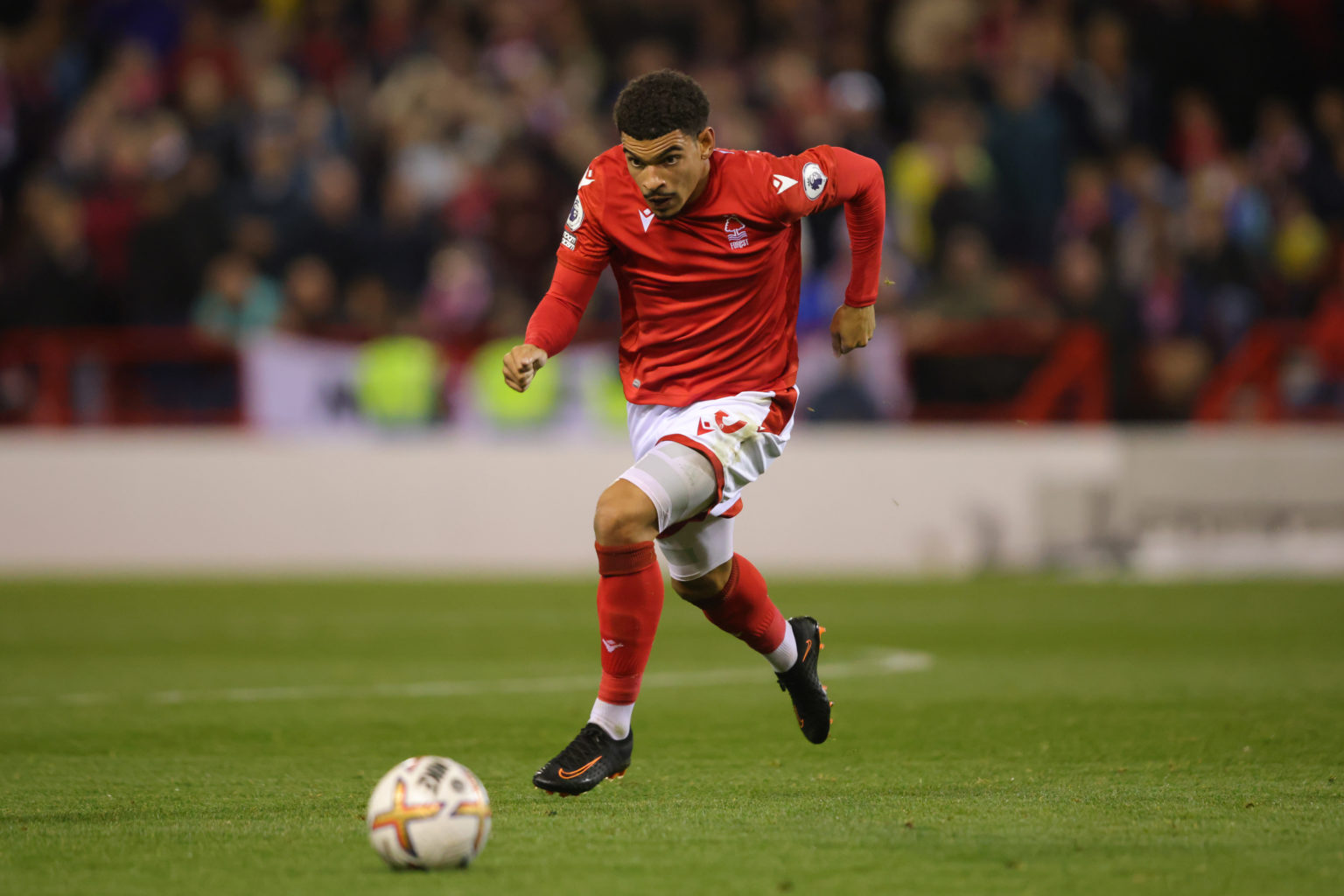 Nottingham Forest First-Team Squad - Nottingham Forest News