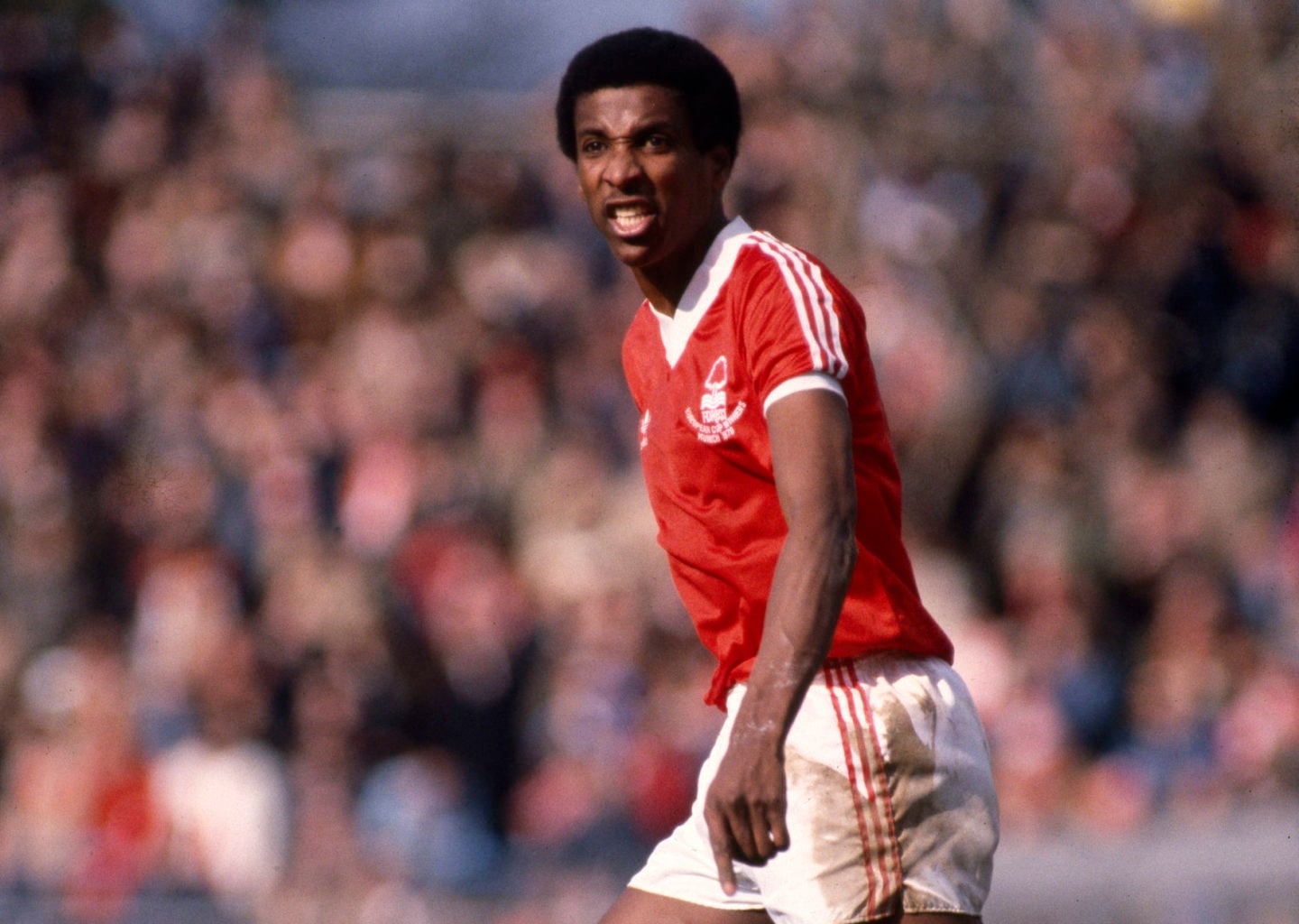 Nottingham Forest Legends - Nottingham Forest News