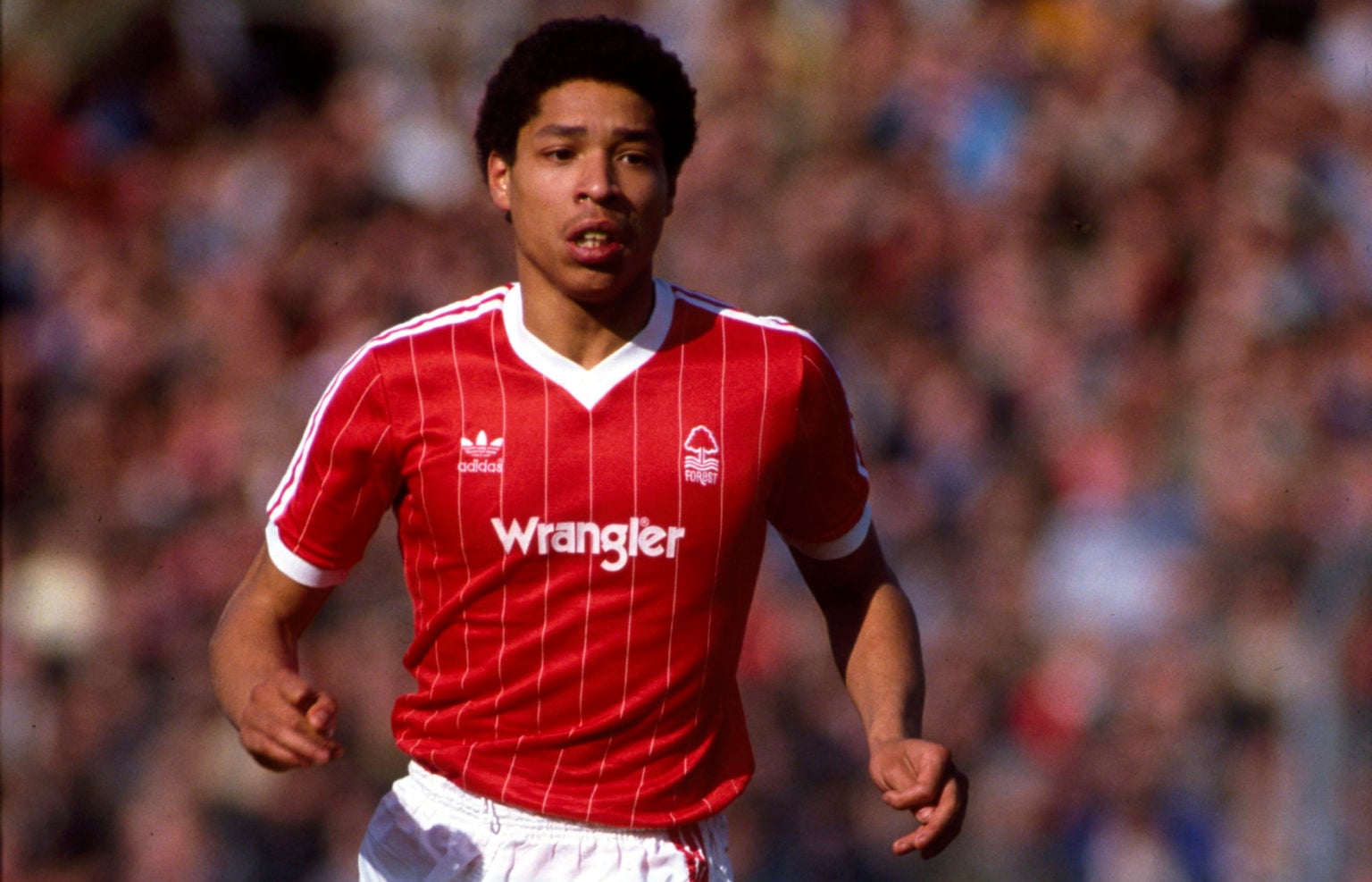 Nottingham Forest Legends - Nottingham Forest News