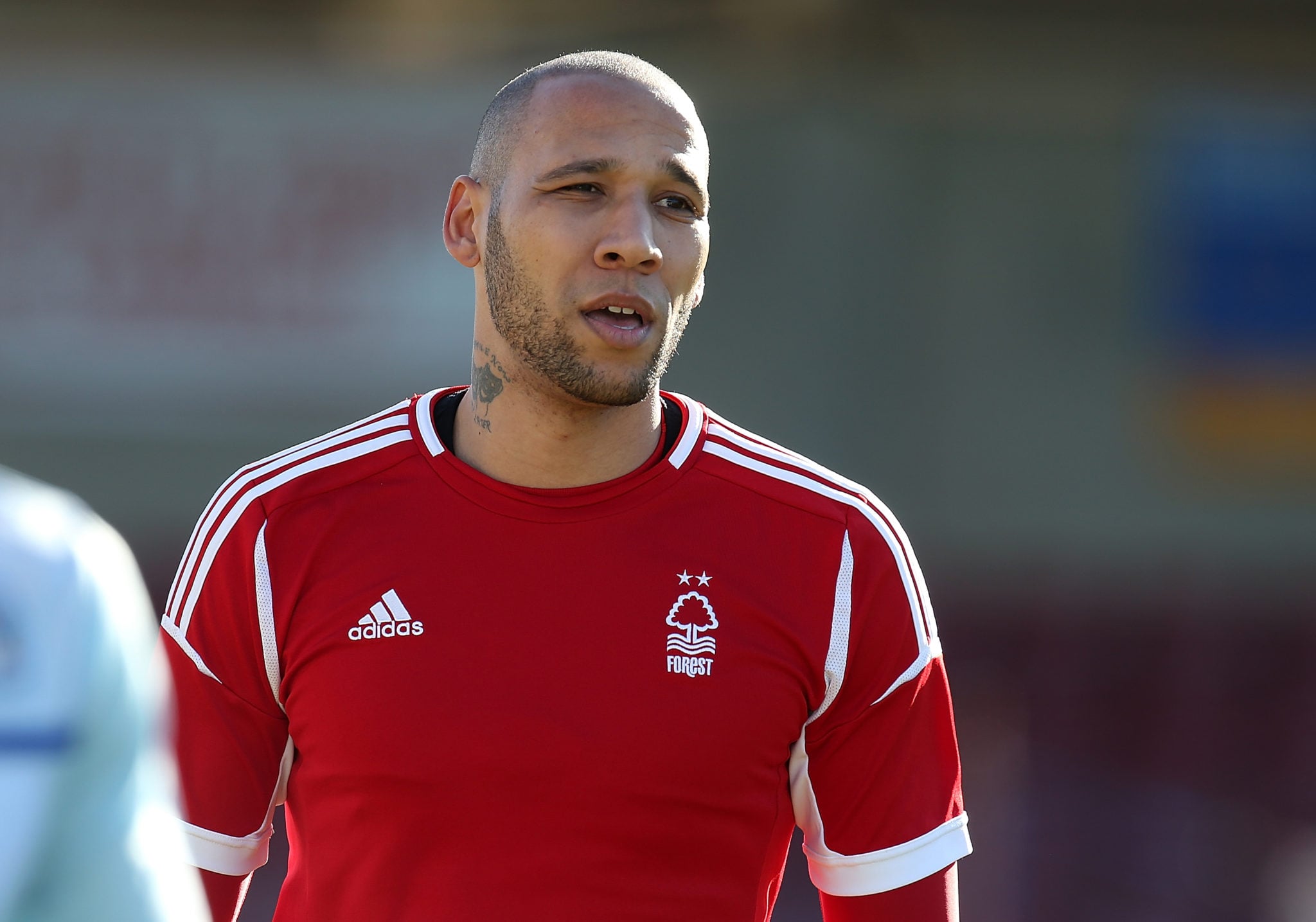 Kelvin Wilson can’t quite believe ‘lucky’ signing Nottingham Forest ...