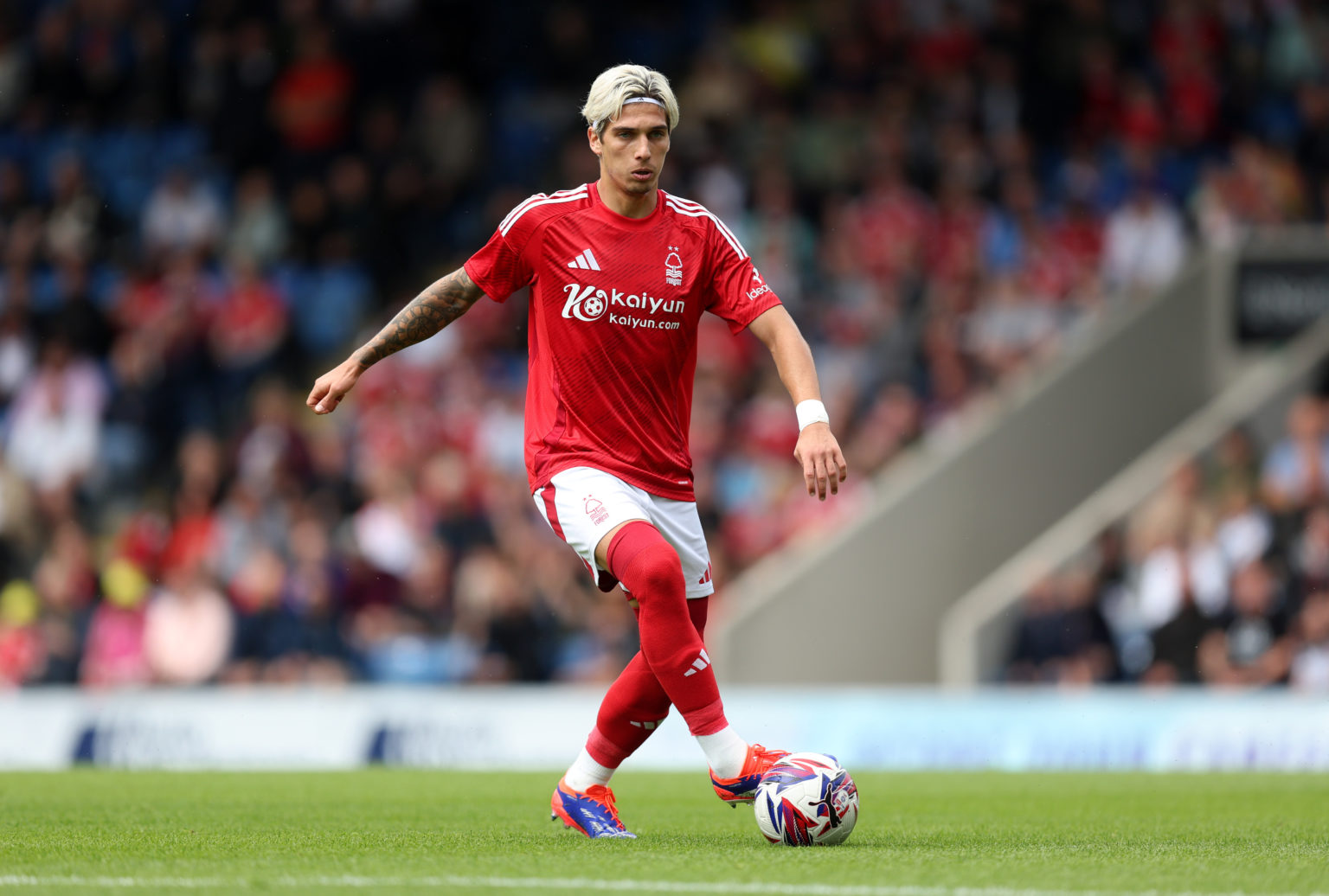 Nottingham Forest fans all have a message for the club after seeing ...