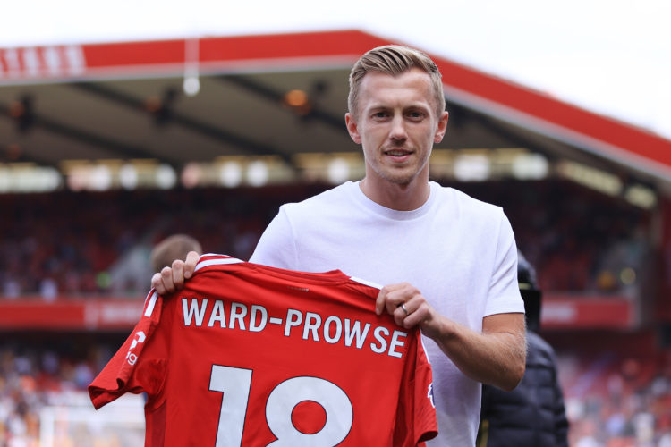 Nottingham Forest First-Team Squad - Nottingham Forest News