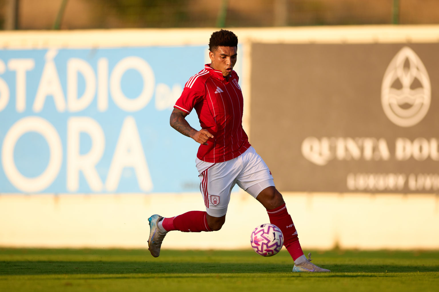 Five things we learned from Nottingham Forest's 1-0 defeat to ...